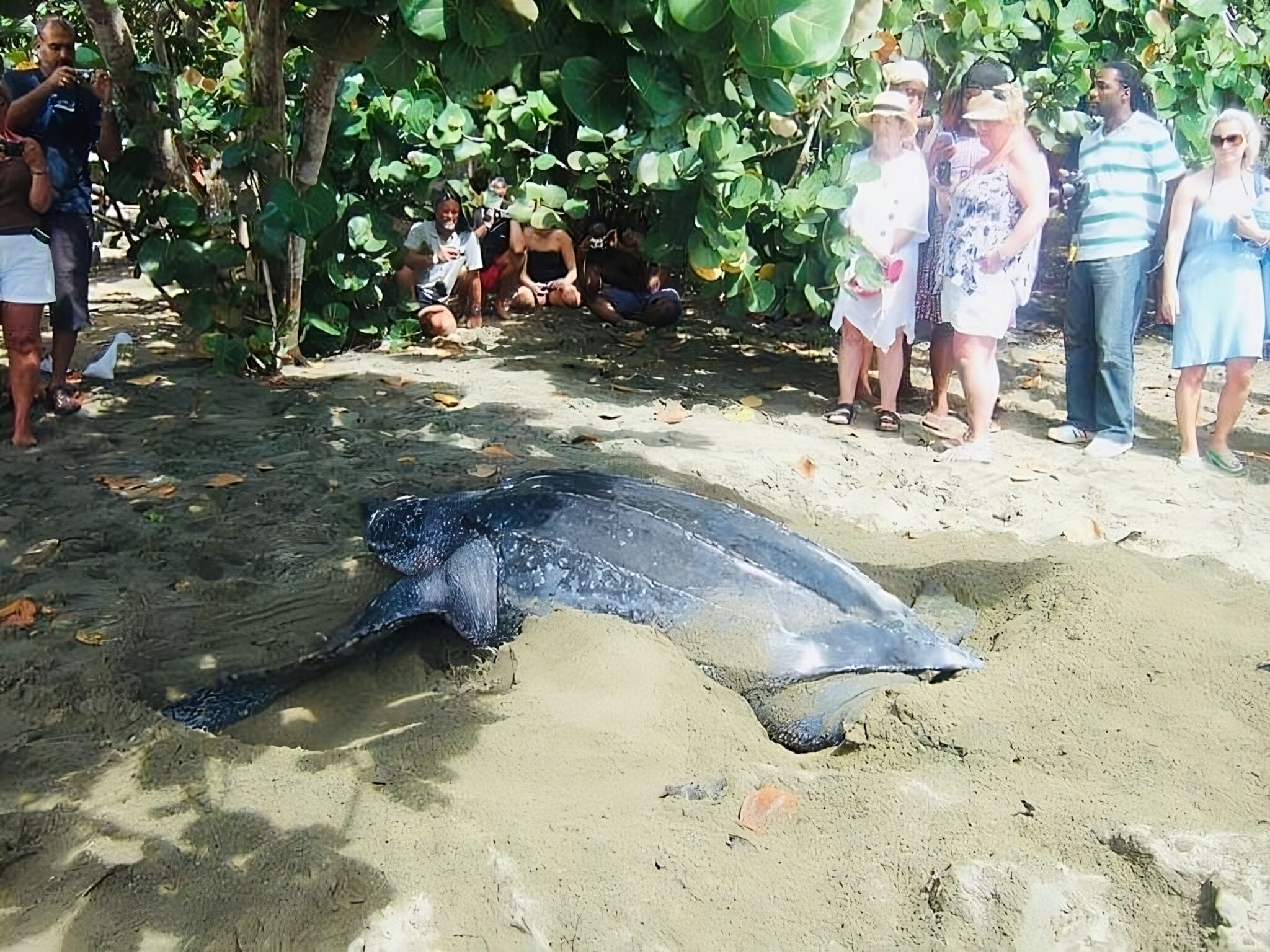 Our Tours - Tobago Island Tours